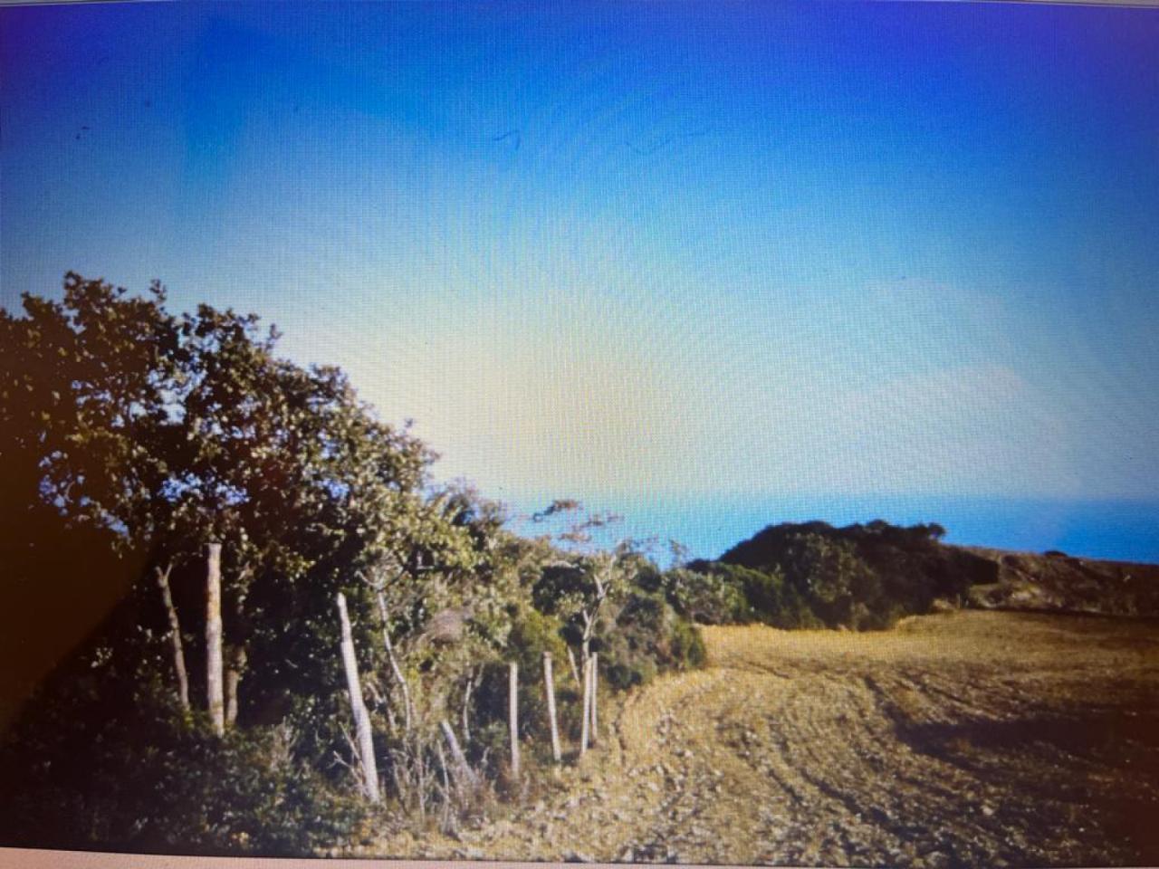 Terreno agricolo in vendita a Santa Marinella