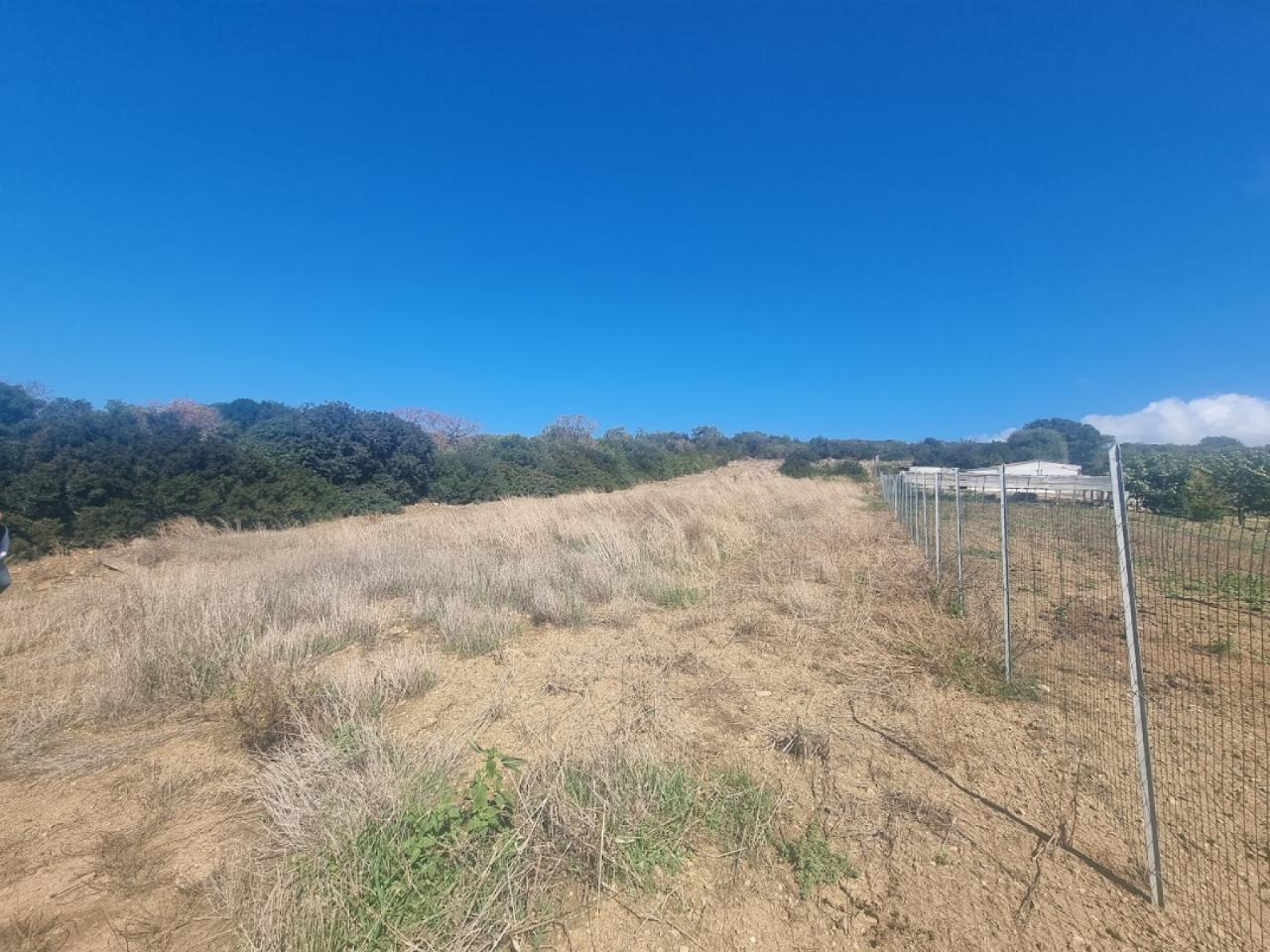 Terreno agricolo in vendita a Santa Marinella