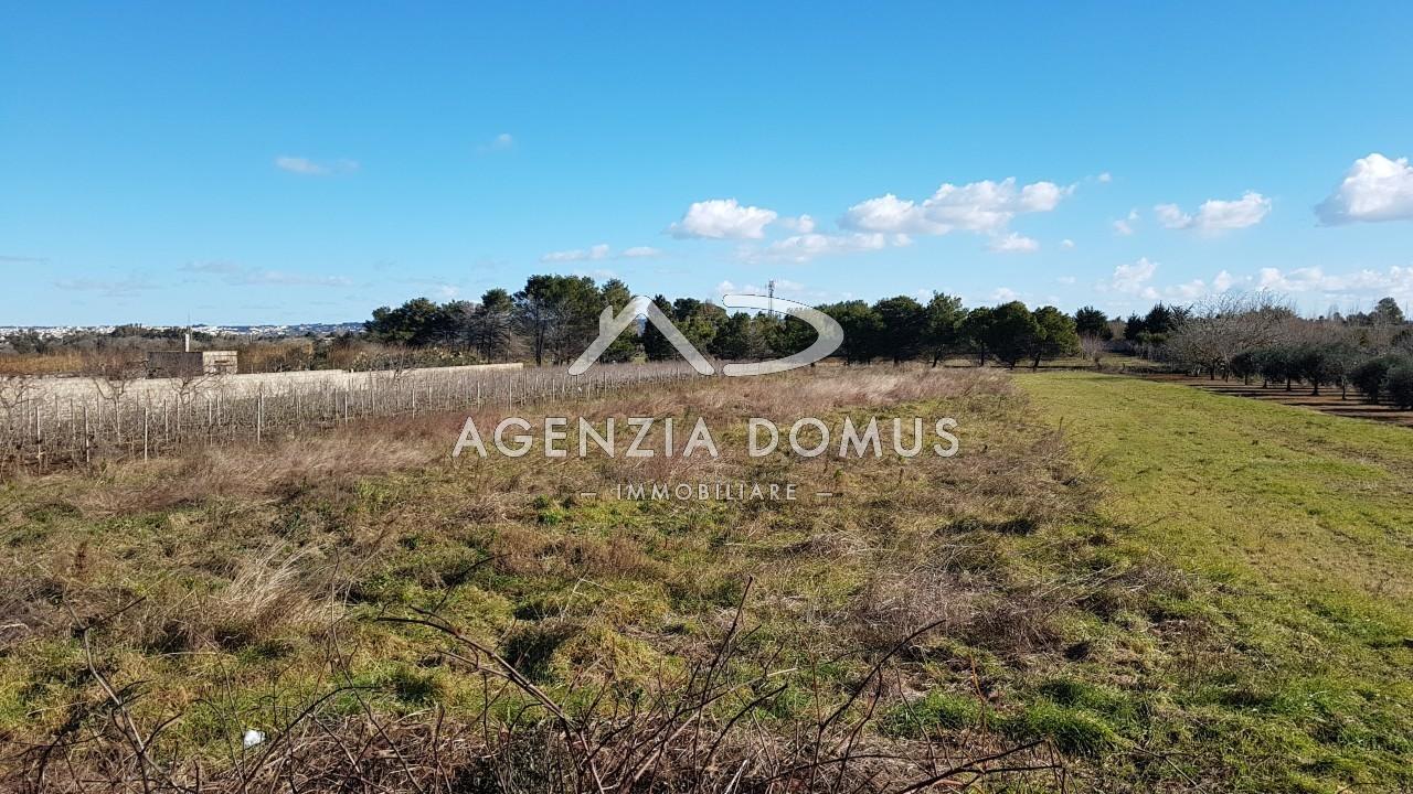 Terreno agricolo in vendita a Melissano