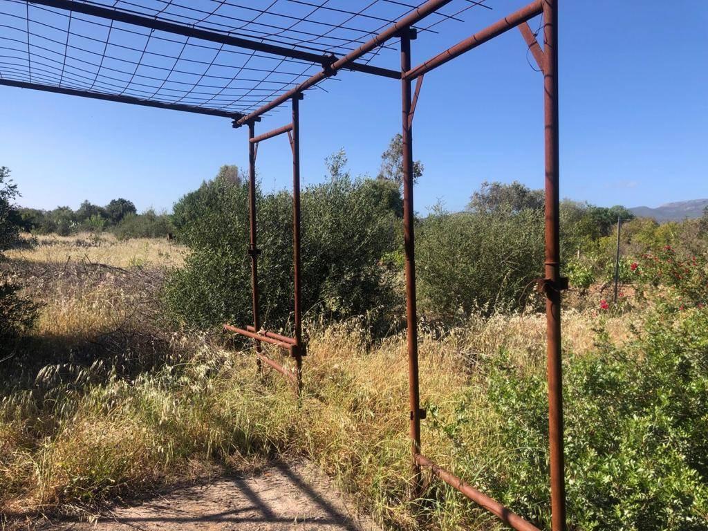 Terreno agricolo in vendita a Quartucciu