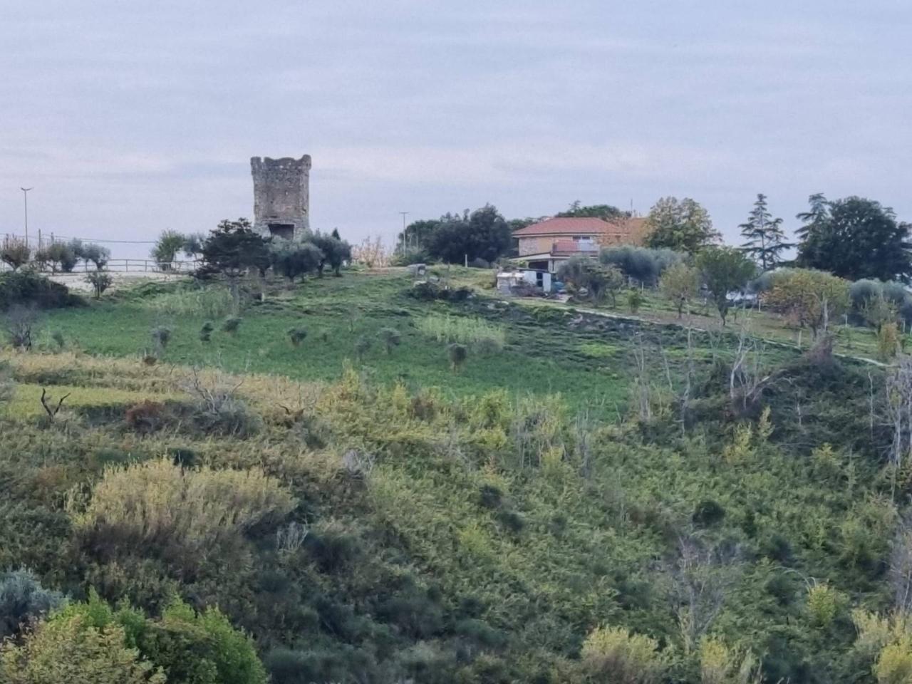 Terreno agricolo in vendita a Monterotondo