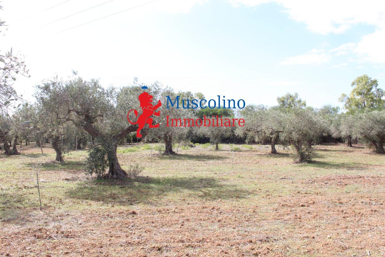 Terreno agricolo in vendita a Mazara Del Vallo