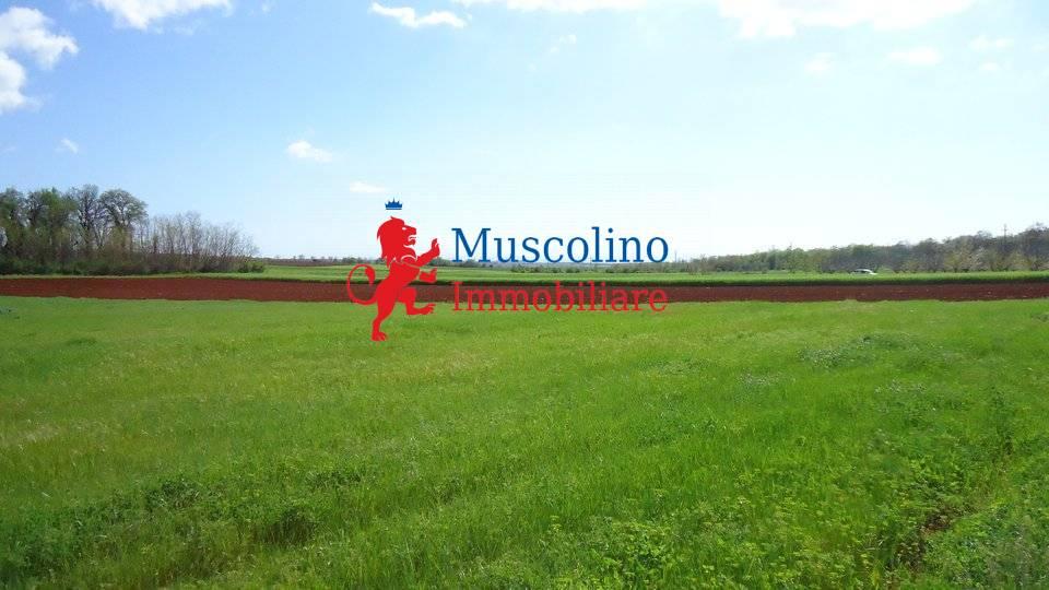 Terreno edificabile in vendita a Mazara Del Vallo