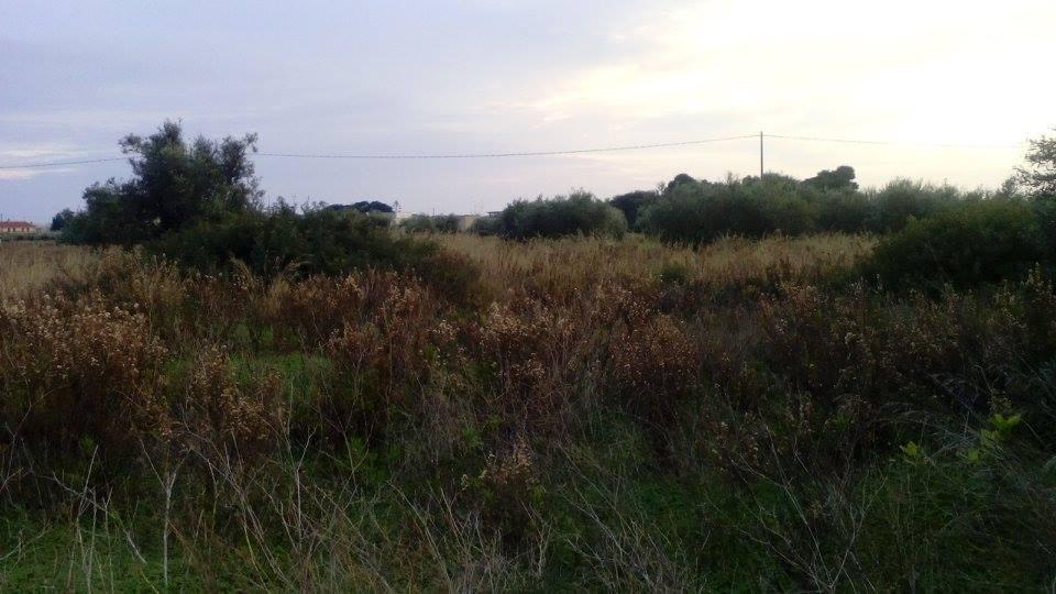 Terreno agricolo in vendita a Castelvetrano