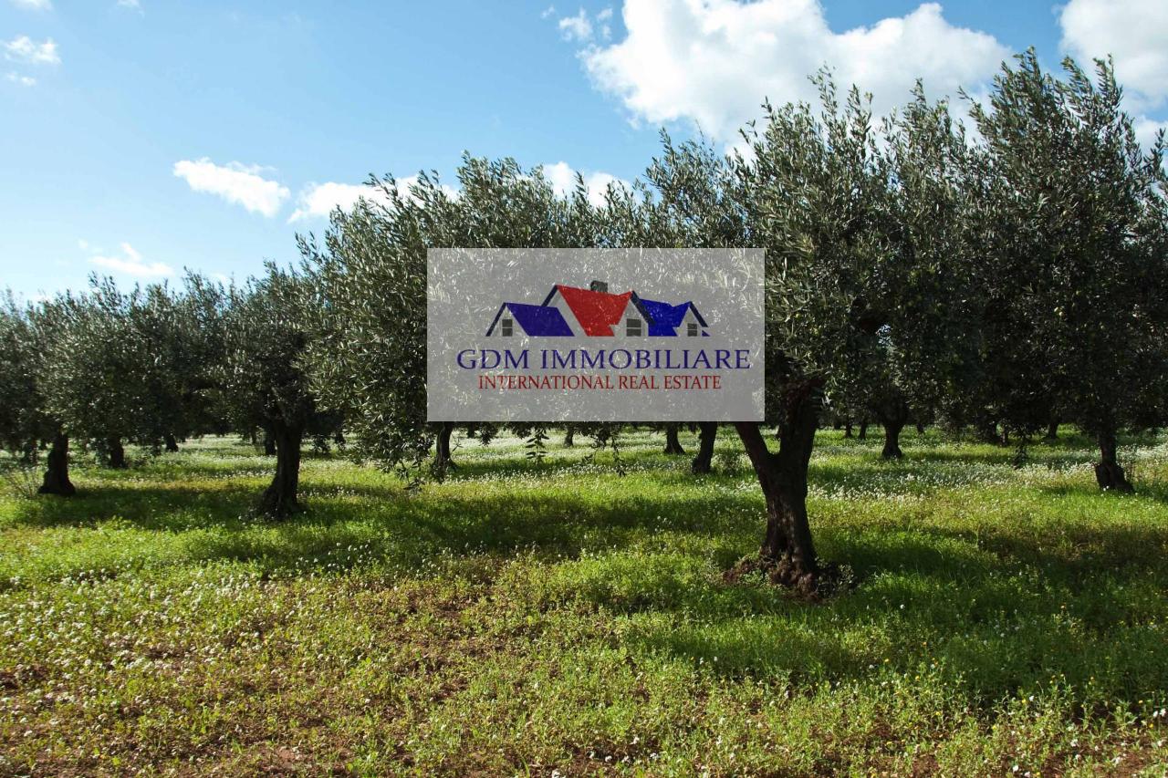 Terreno agricolo in vendita a Mazara Del Vallo
