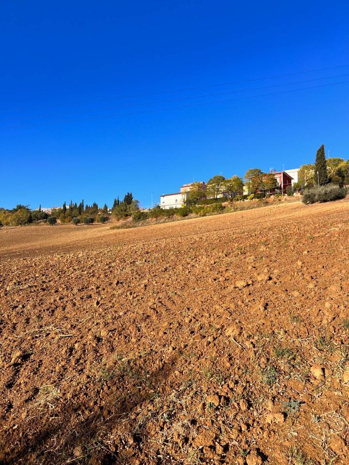 Terreno agricolo in vendita a Monte Urano