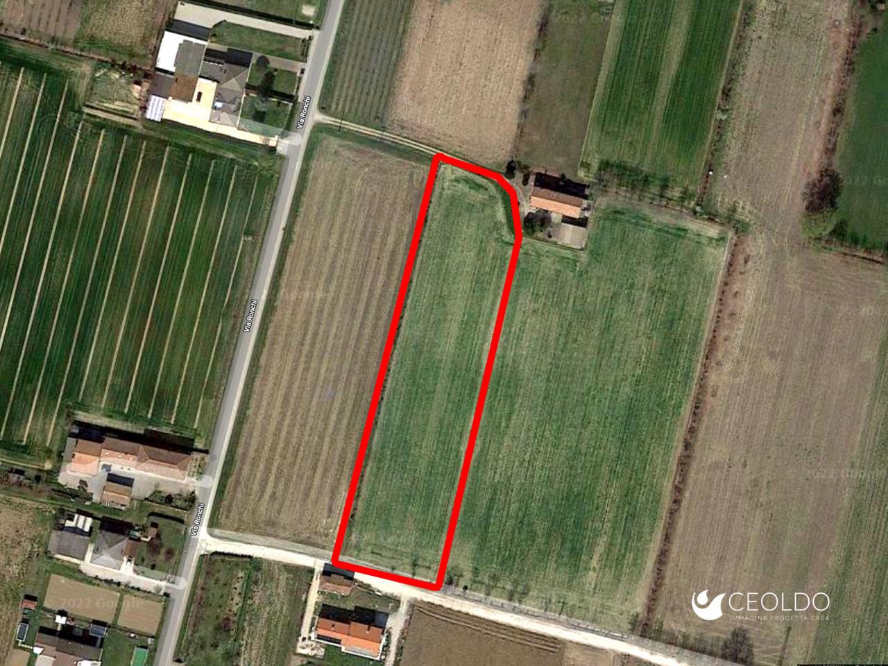 Terreno agricolo in vendita a Borgoricco