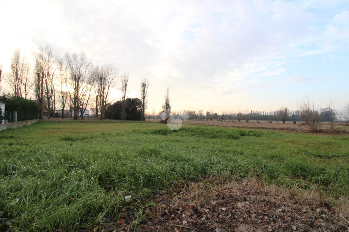 Terreno edificabile in vendita a Cessalto