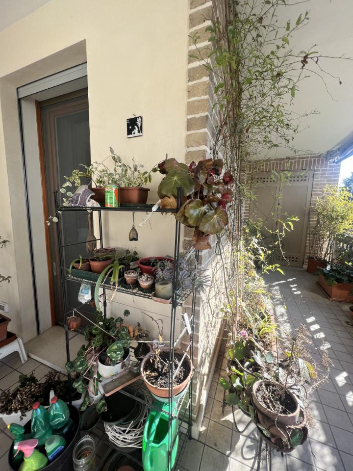Appartamento in vendita a Venezia