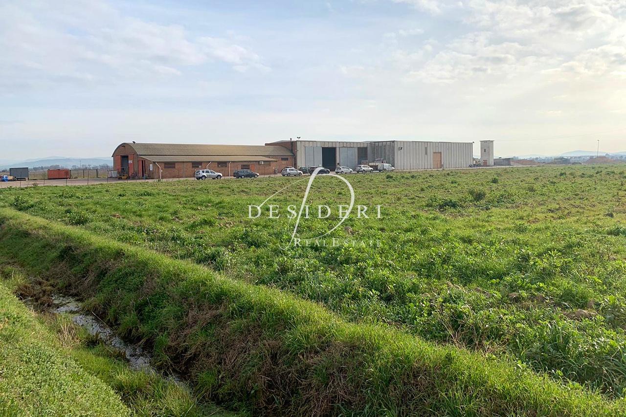 Azienda agricola in vendita a Grosseto