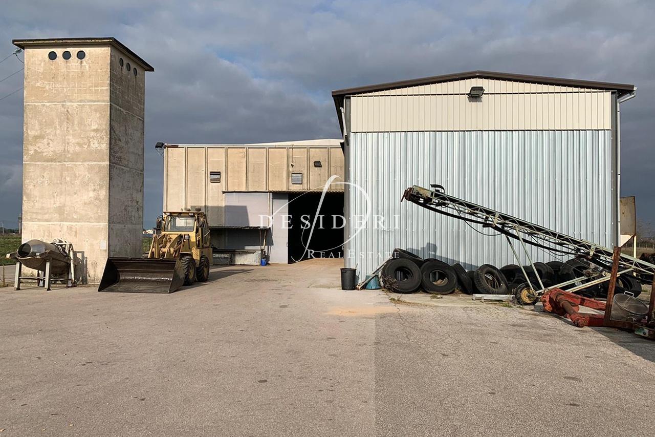 Capannone in vendita a Grosseto