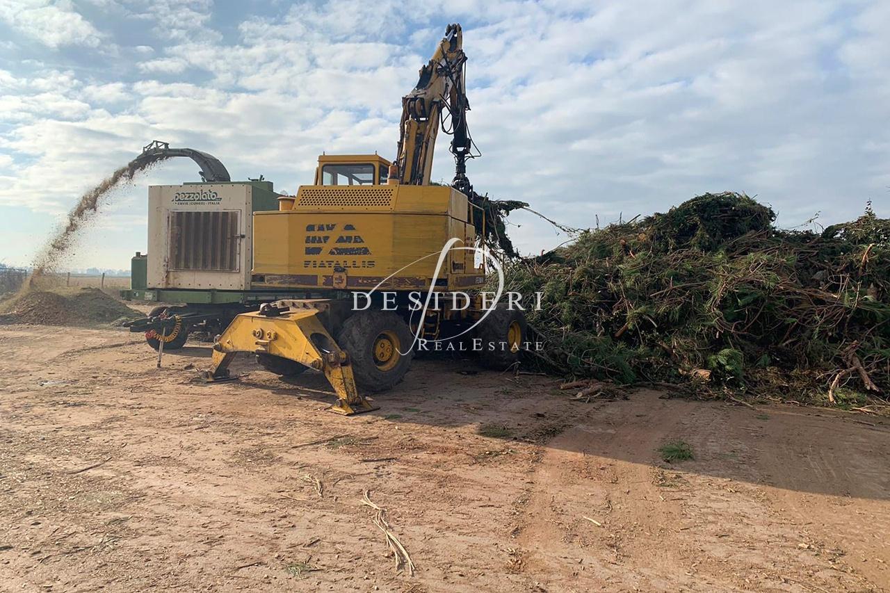 Negozio in vendita a Grosseto