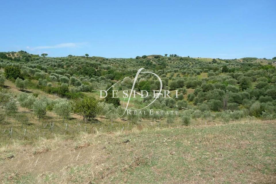 Terreno agricolo in vendita a Arcidosso