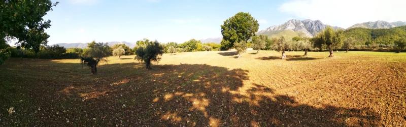 Terreno edificabile in vendita a Prata Sannita