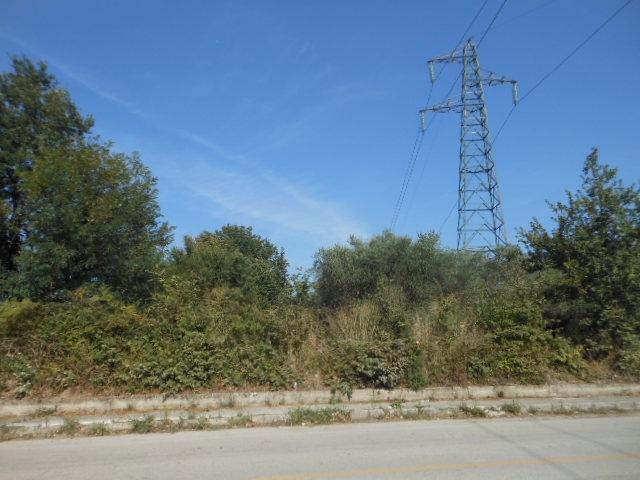 Terreno edificabile in vendita a Vairano Patenora