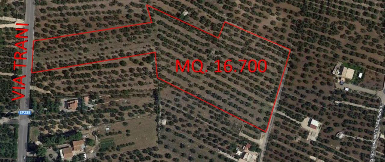 Terreno agricolo in vendita a Corato