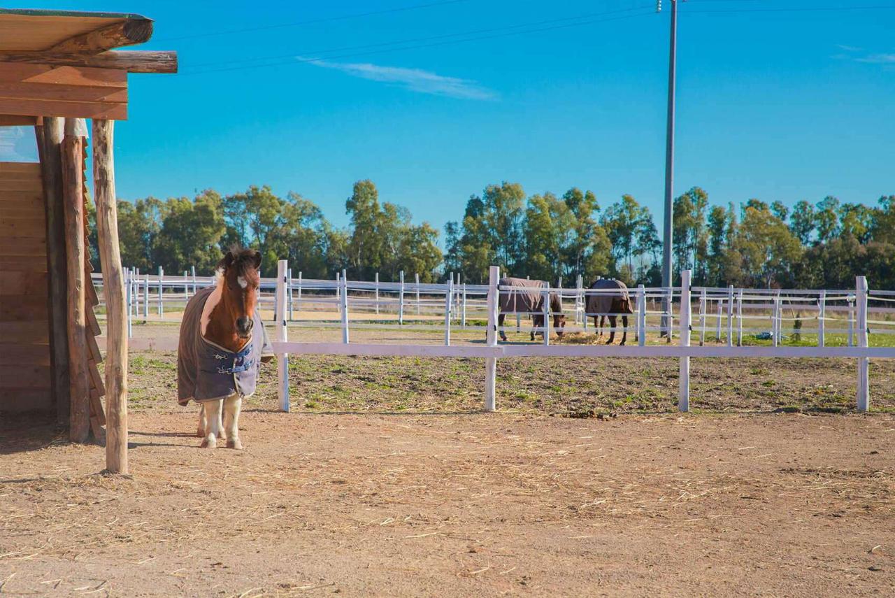 Terreno edificabile misto in vendita a Sabaudia