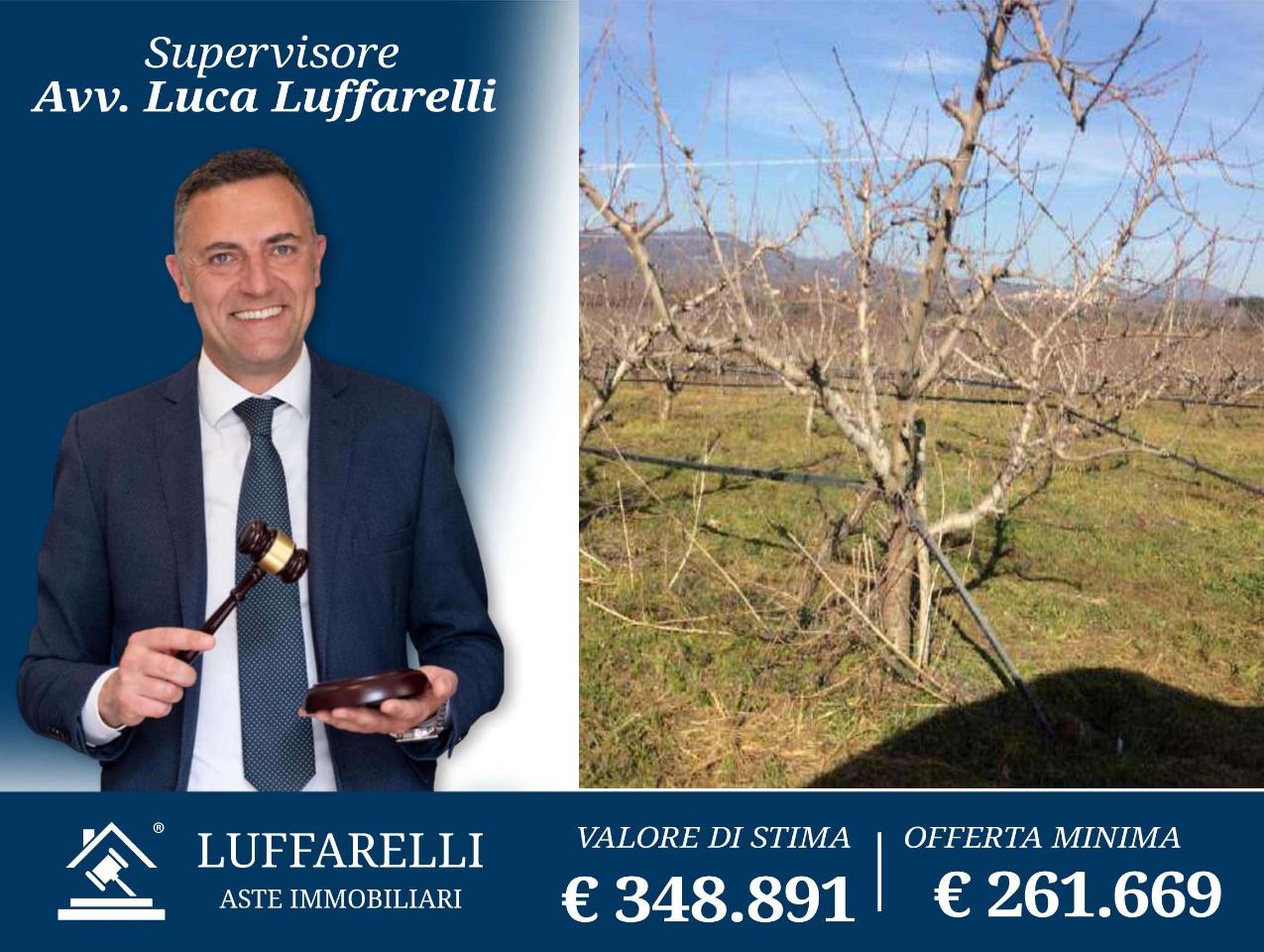 Terreno agricolo in vendita a Teano