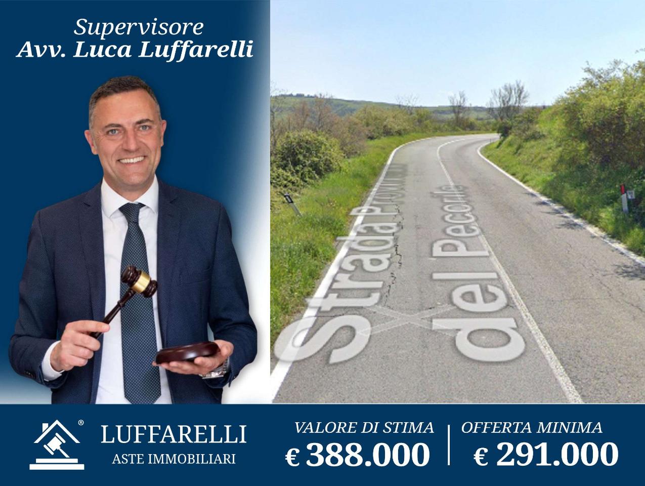 Terreno agricolo in vendita a Asciano