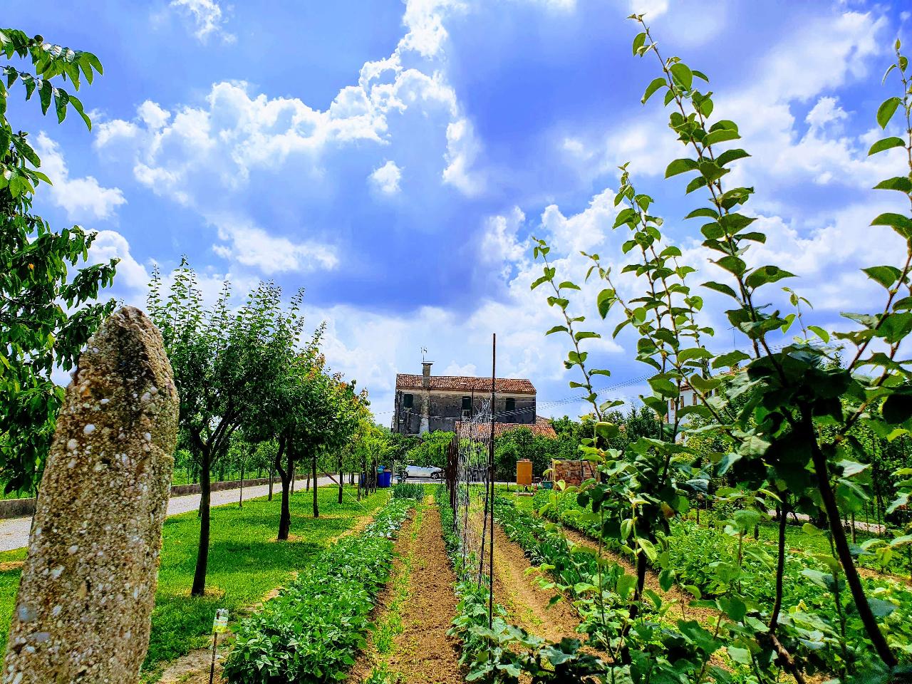 Rustico in vendita a Conegliano