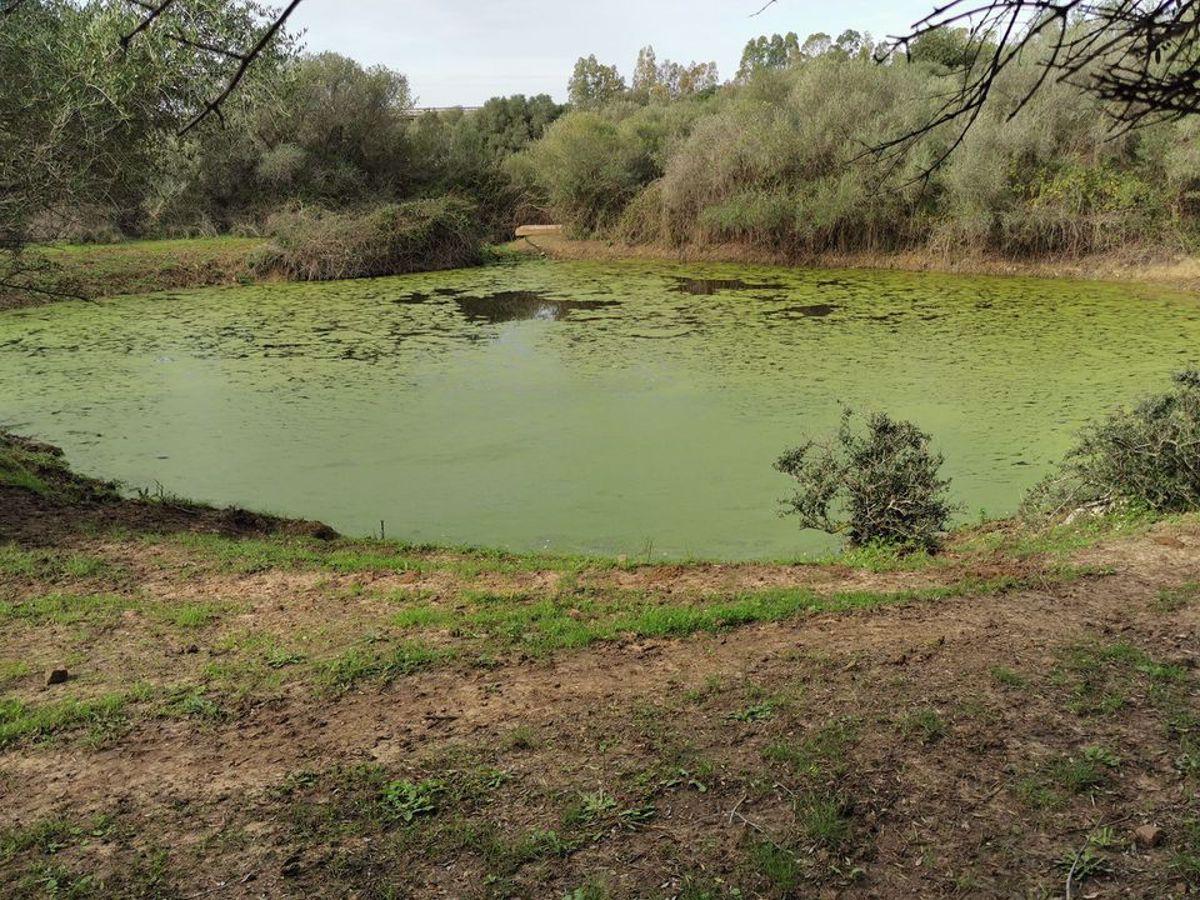 Terreno agricolo in vendita a Terrasini