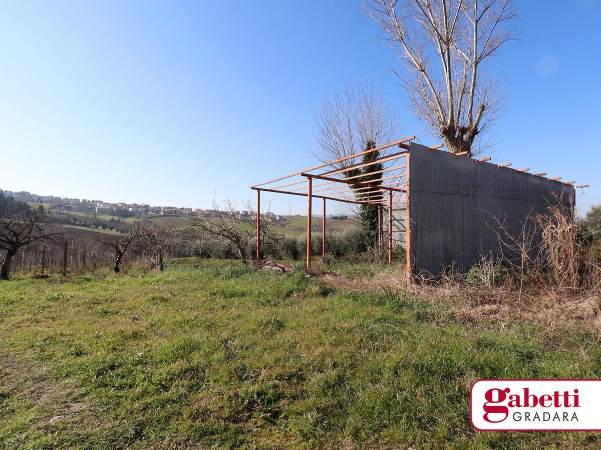 Terreno edificabile in vendita a Tavullia