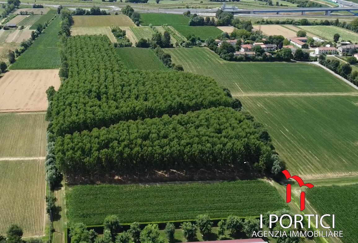 Terreno agricolo in vendita a Martellago