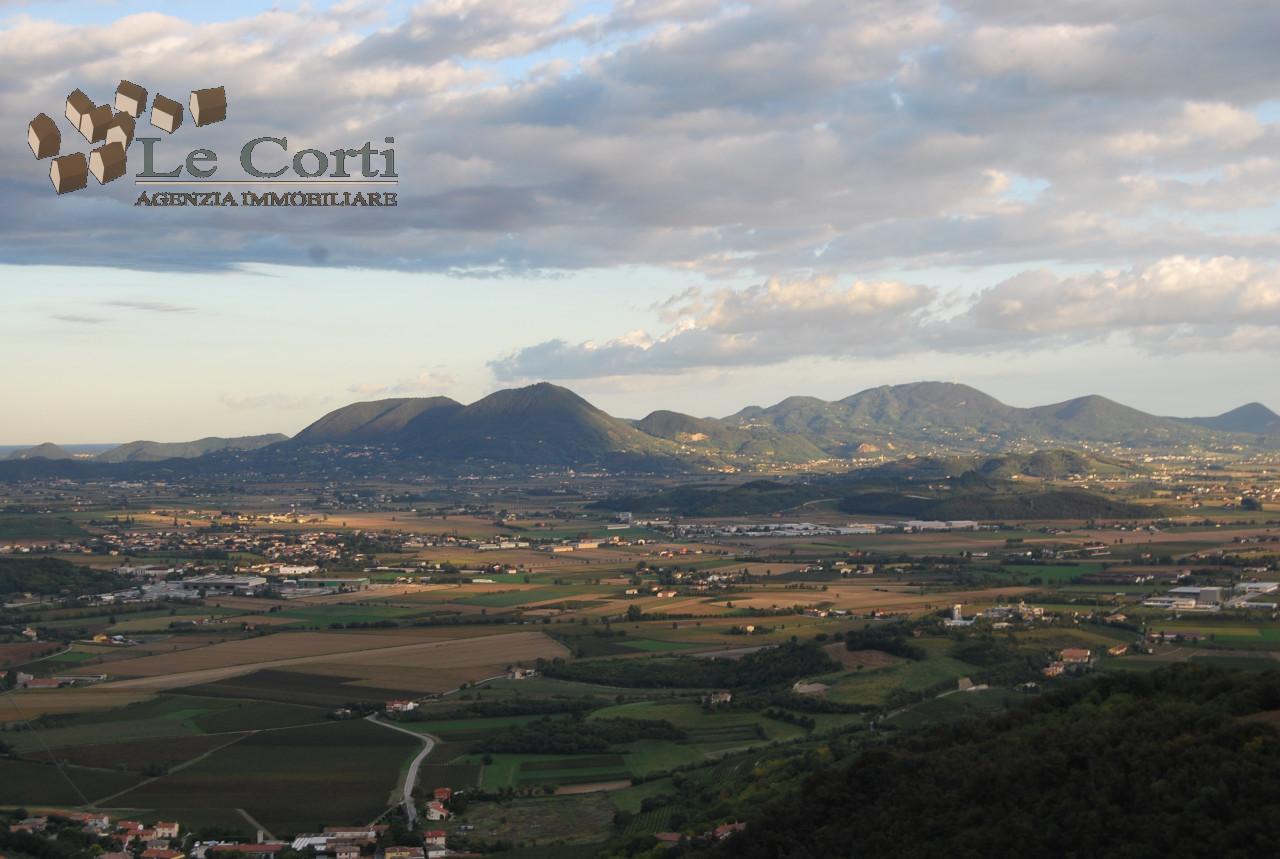 Terreno agricolo in vendita a Villaga