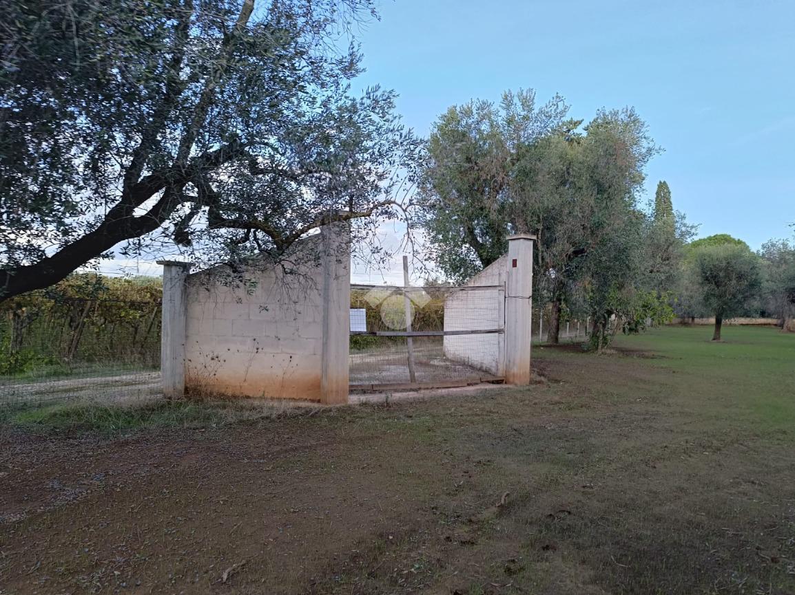 Rustico in vendita a Francavilla Fontana