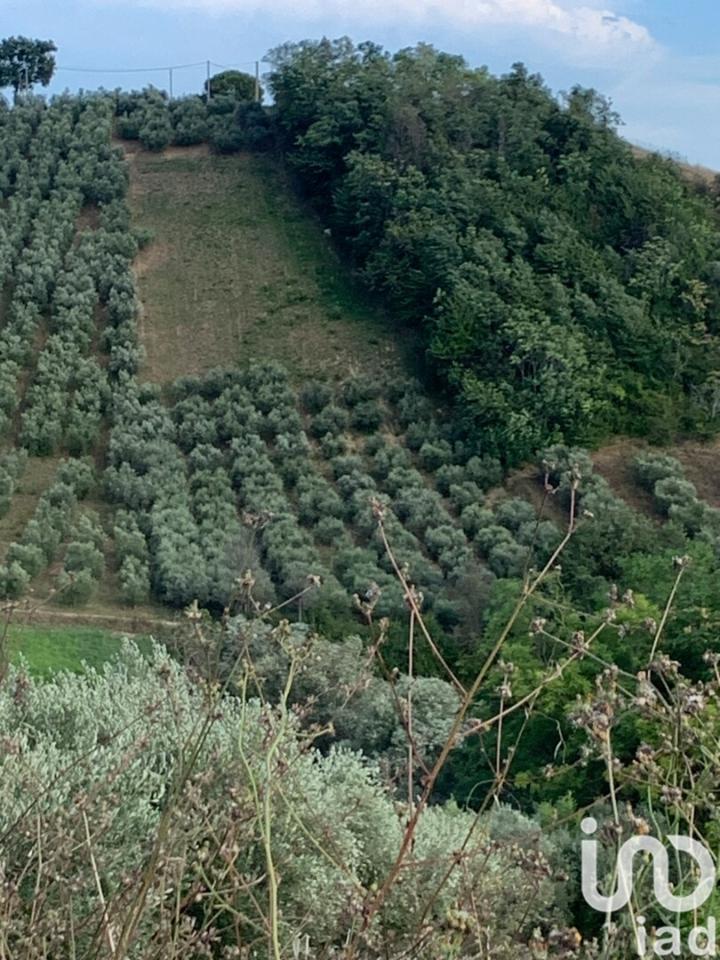 Terreno agricolo in vendita a Tortoreto
