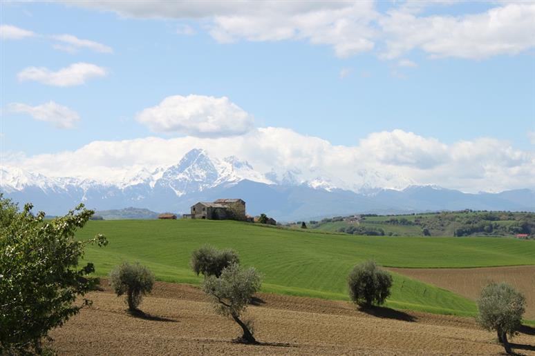 Azienda agricola in vendita a Mosciano Sant'Angelo