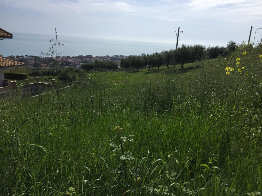 Terreno edificabile in vendita/affitto a Silvi