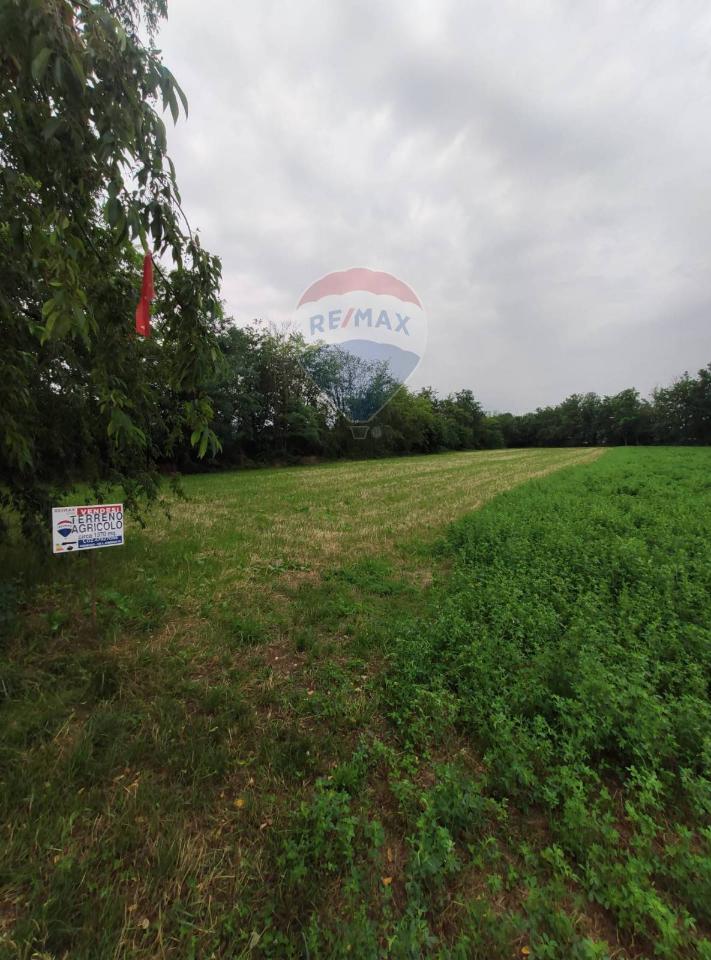 Terreno agricolo in vendita a Cerro Maggiore
