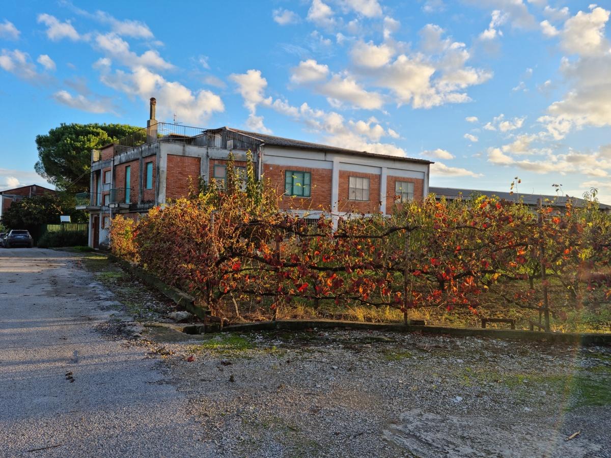 Capannone in affitto a Salerno