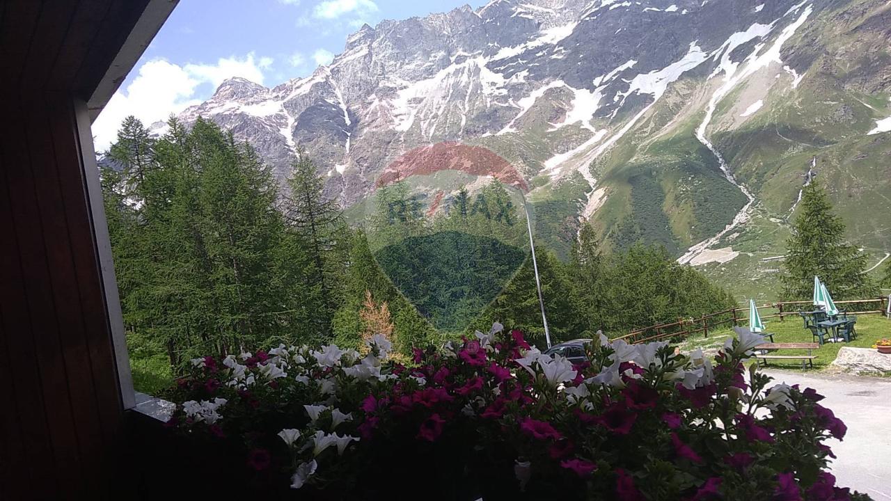 Appartamento in affitto a Valtournenche