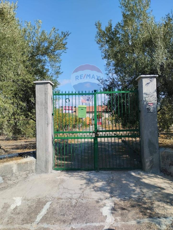 Terreno agricolo in vendita a Paterno'