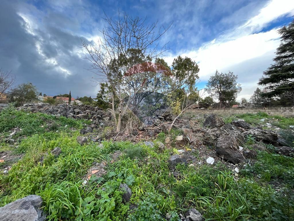 Terreno agricolo in vendita a Mascalucia