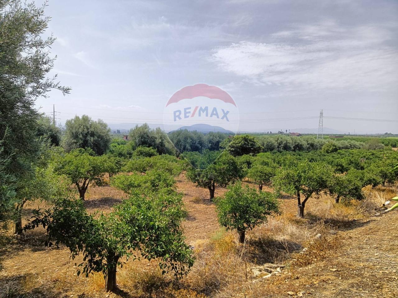 Terreno agricolo in vendita a Belpasso
