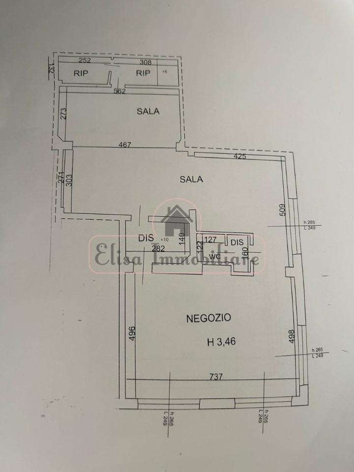 Negozio in affitto a Viareggio