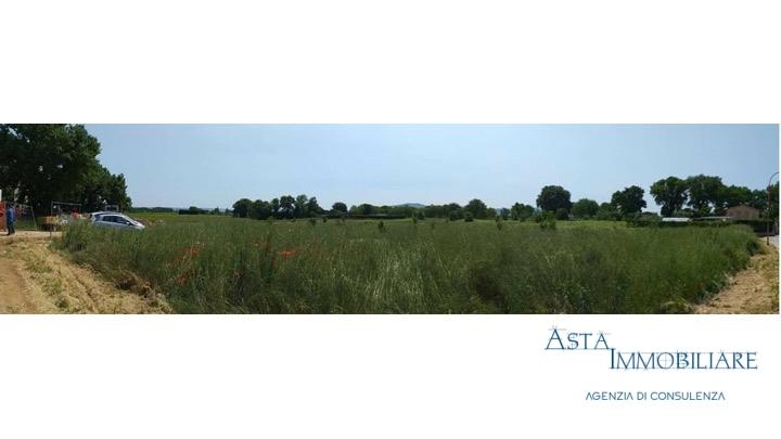 Terreno agricolo in vendita a Colle Di Val D'Elsa