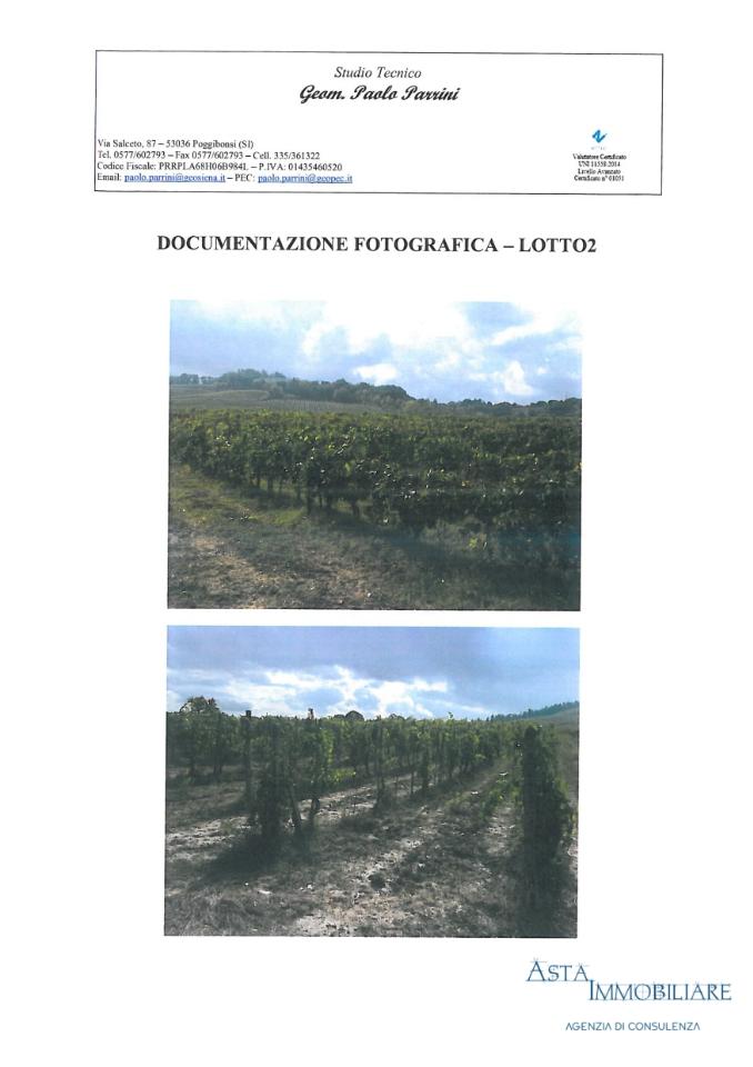 Terreno agricolo in vendita a San Gimignano