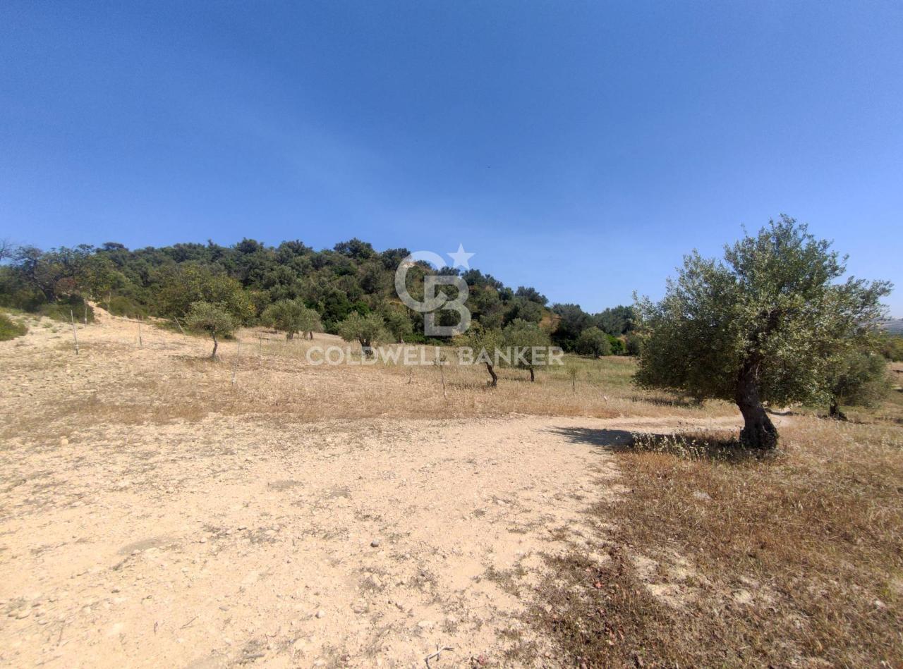 Terreno edificabile residenziale in vendita a Noto