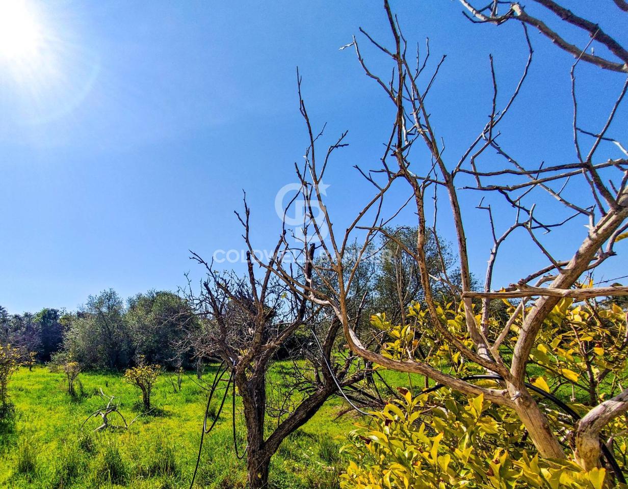 Terreno edificabile in vendita a Augusta