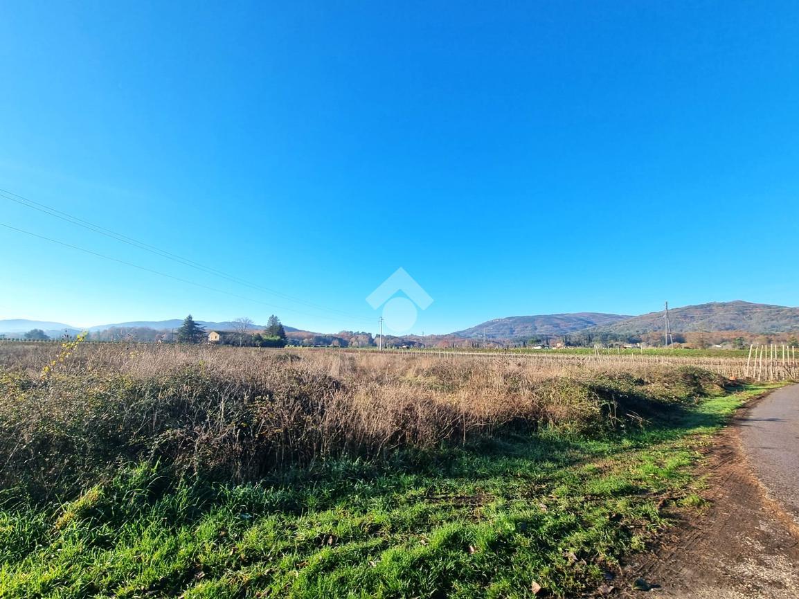 Terreno agricolo in vendita a Pistoia