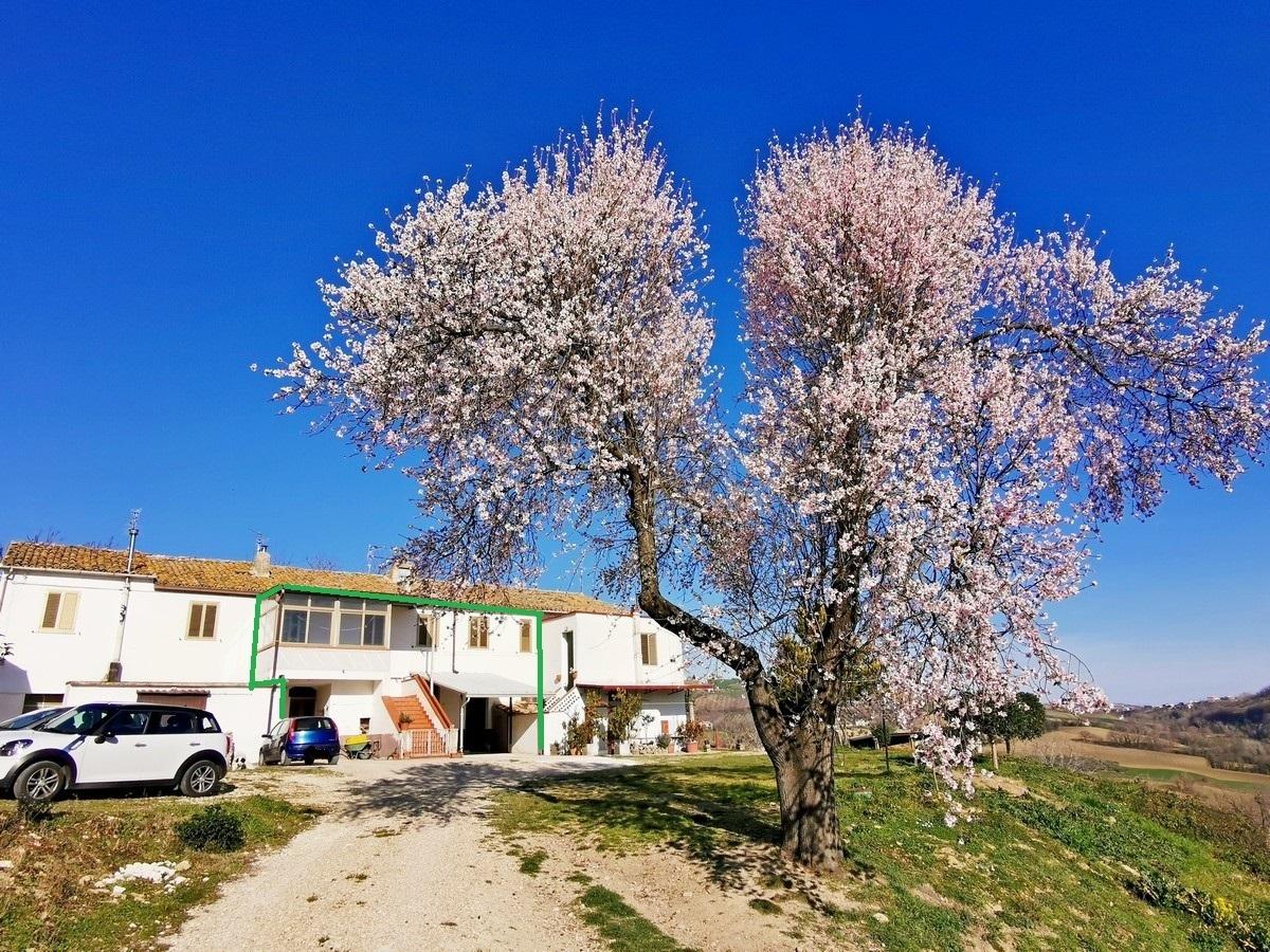 Villa a schiera in vendita a Penne