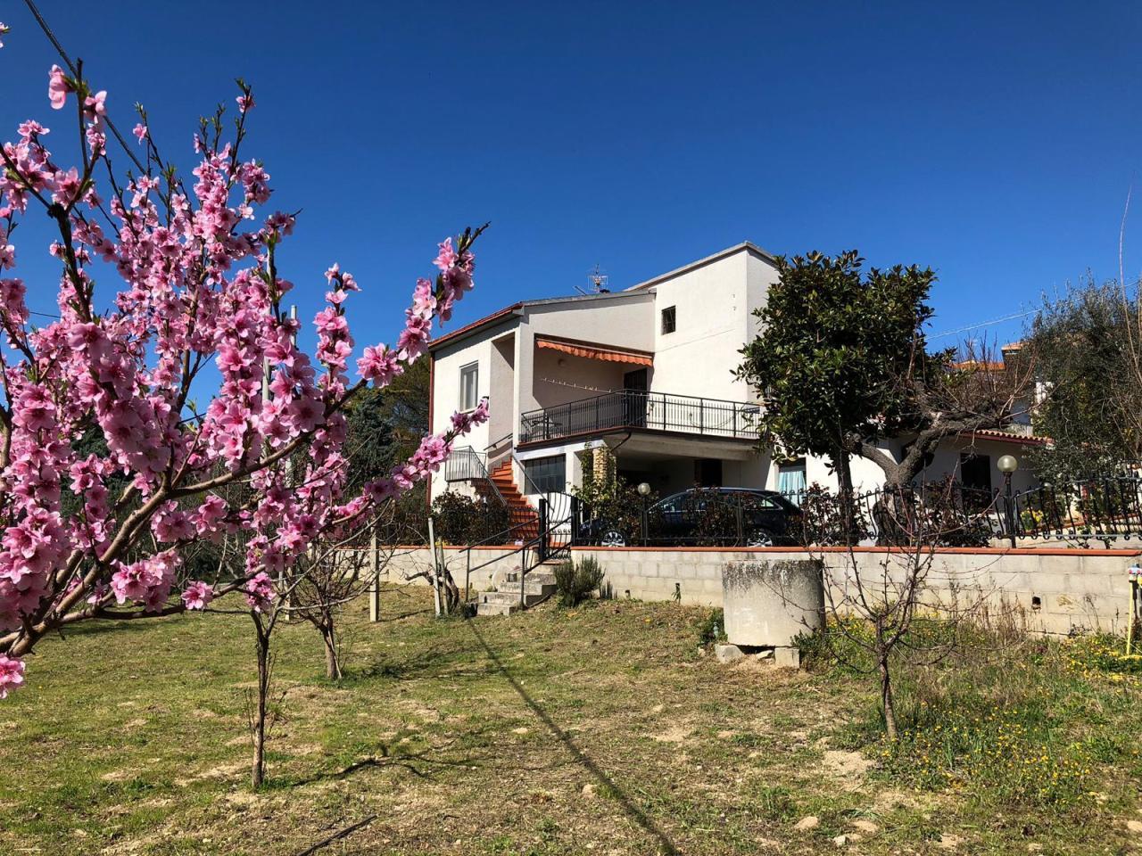 Casa indipendente in vendita a Notaresco