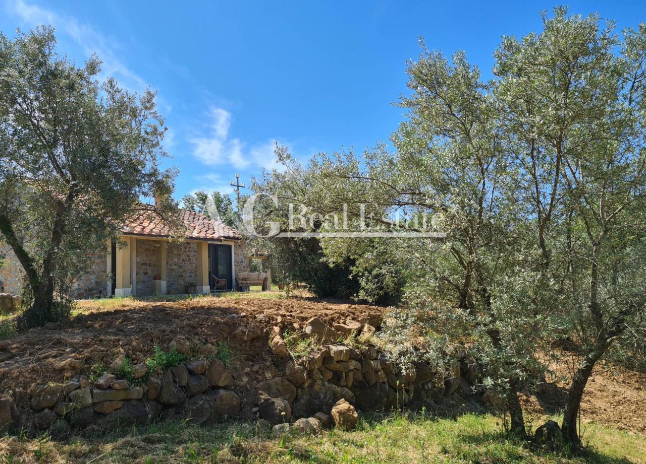 Rustico in vendita a Scansano