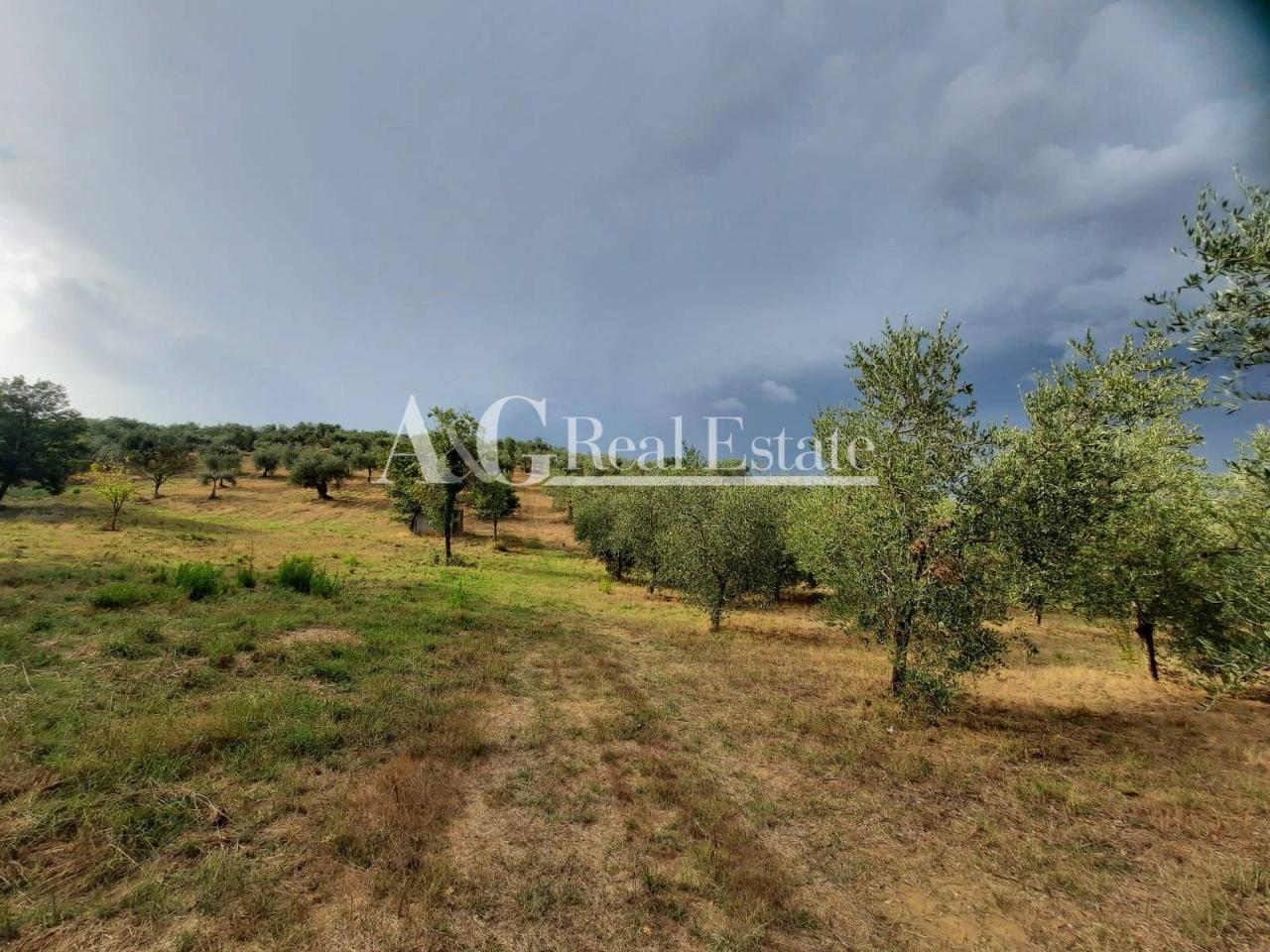 Terreno agricolo in vendita a Castiglione Della Pescaia