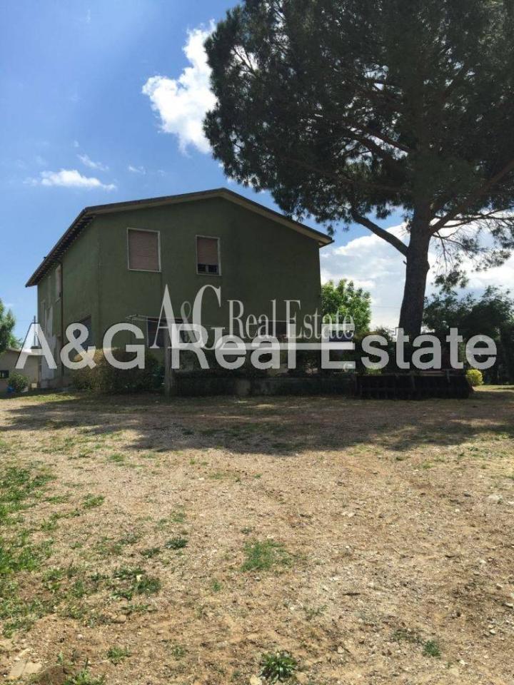 Rustico in vendita a Scansano