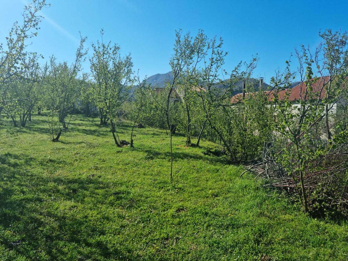 Terreno agricolo in vendita a Fisciano